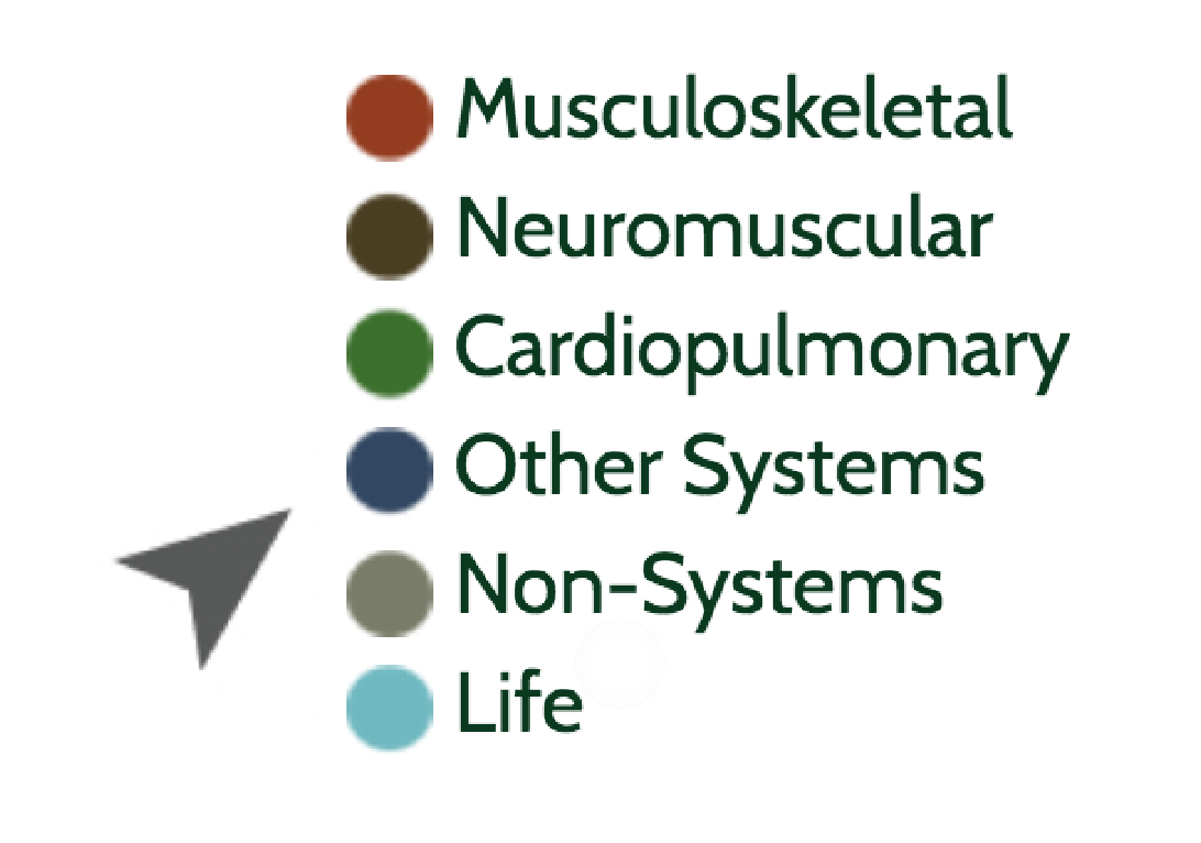 Scorebuilders Basecamp